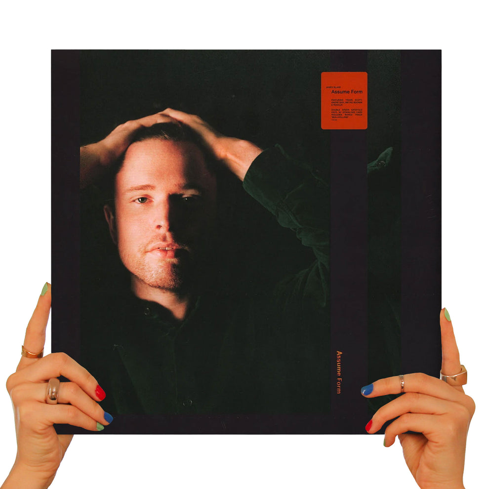 JAMES BLAKE - ASSUME FORM (2 LP'S) – Perfecto Miserable Records